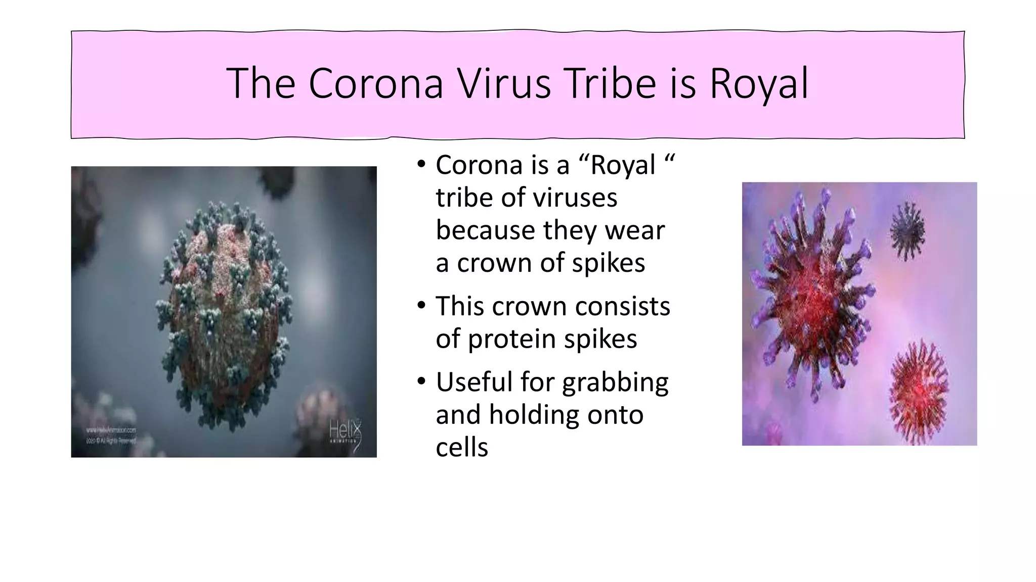 What is COVID-19: Attack of the Zombie Virus | PPTX
