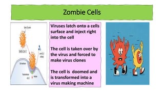 What is COVID-19: Attack of the Zombie Virus | PPTX