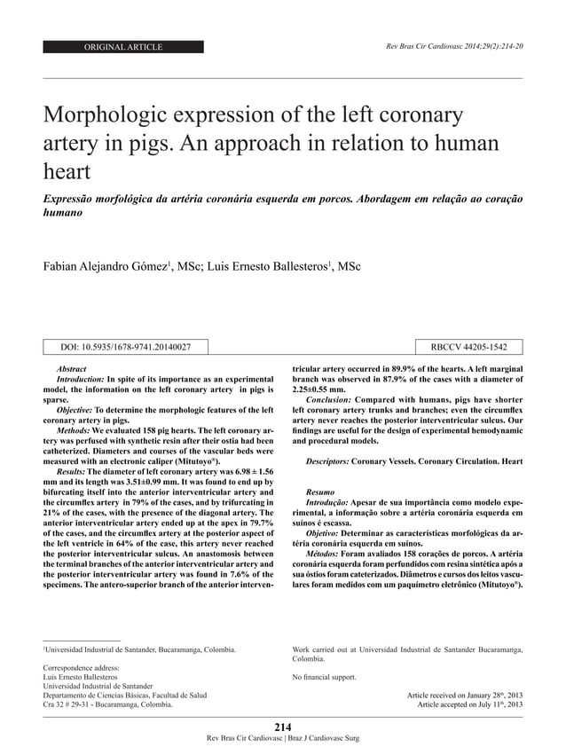 Coronaria izquierda cerdos jbsc | PDF