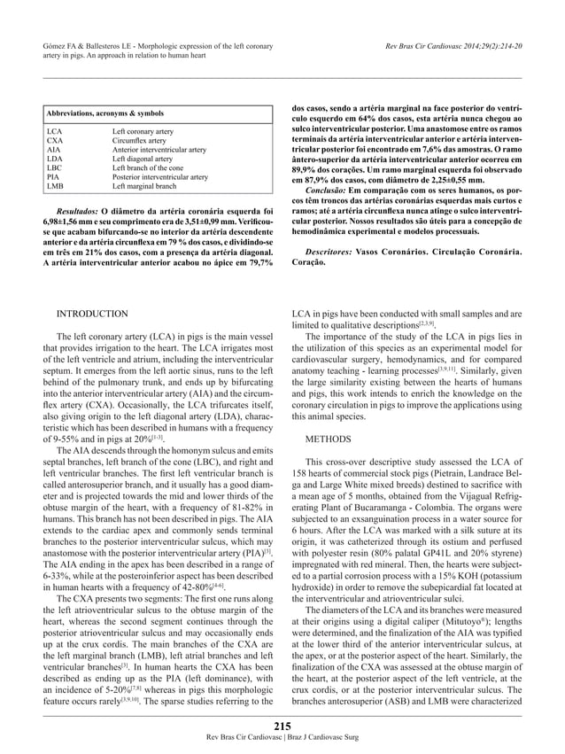 Coronaria izquierda cerdos jbsc | PDF