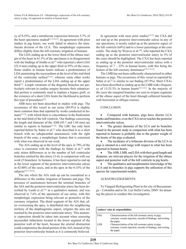 Coronaria izquierda cerdos jbsc | PDF