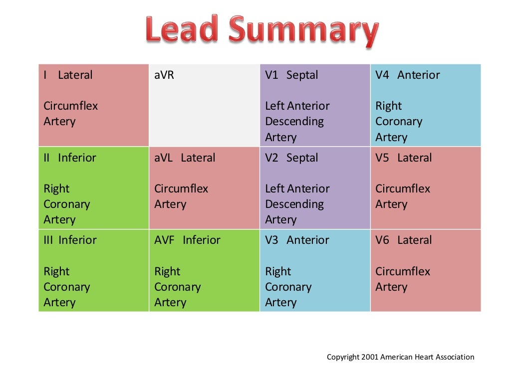 Coronary Arteries & 12-Leads