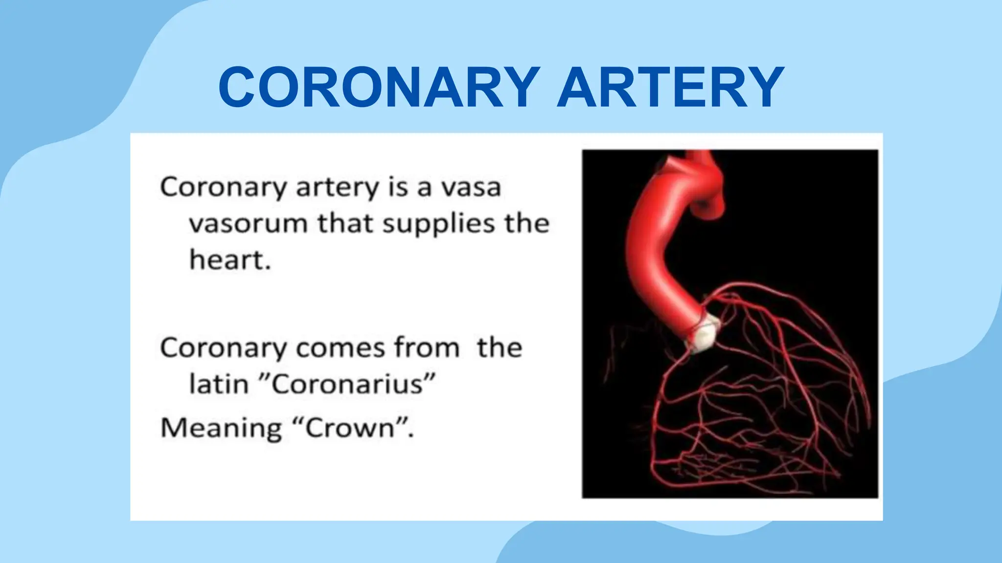 CORONARY__ANGIOGRAM-and-Angiography.pptx