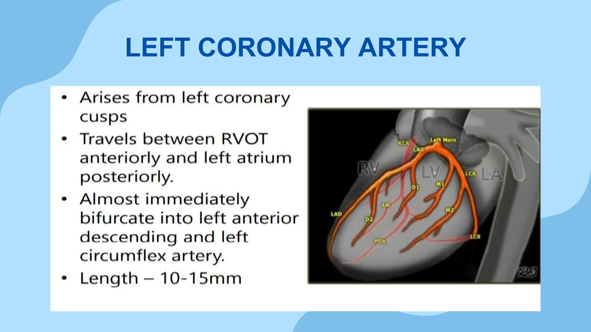 CORONARY__ANGIOGRAM-and-Angiography.pptx