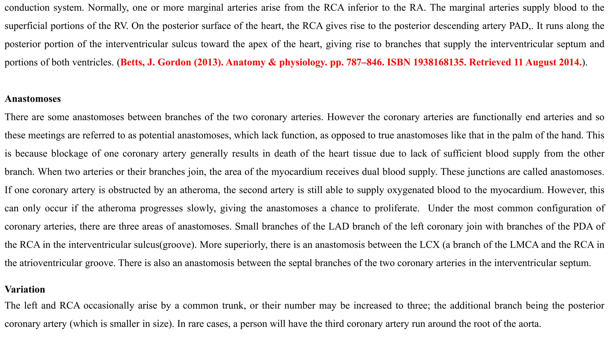 Coronary-artery Circulation Overview Observations about Kugel's artery ...