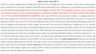 Coronary-artery Circulation Overview Observations about Kugel's artery ...