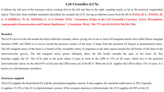 Coronary-artery Circulation Overview Observations about Kugel's artery ...