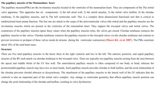Coronary-artery Circulation Overview Observations about Kugel's artery ...