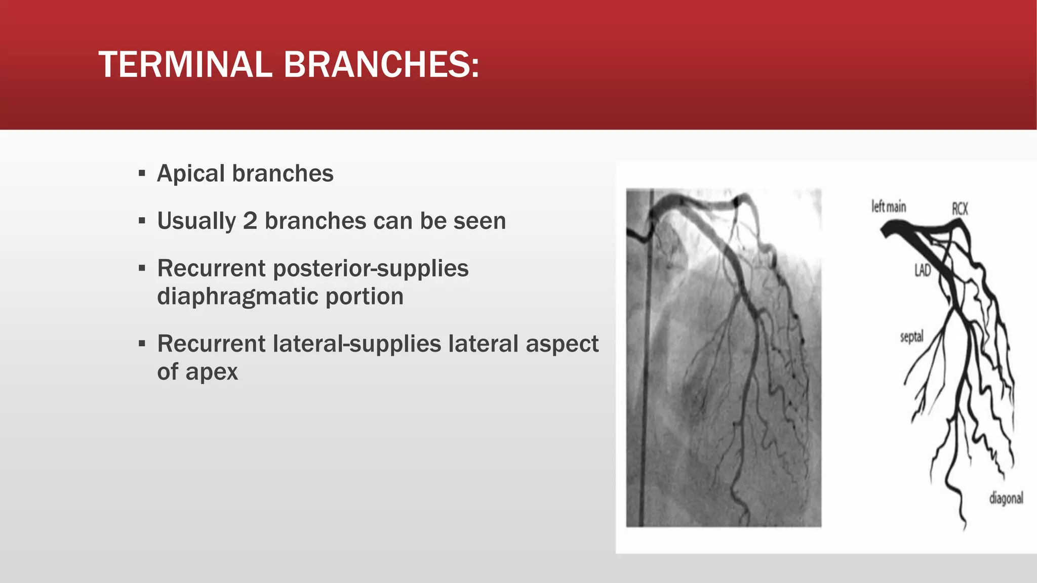 Coronary artery.pptx