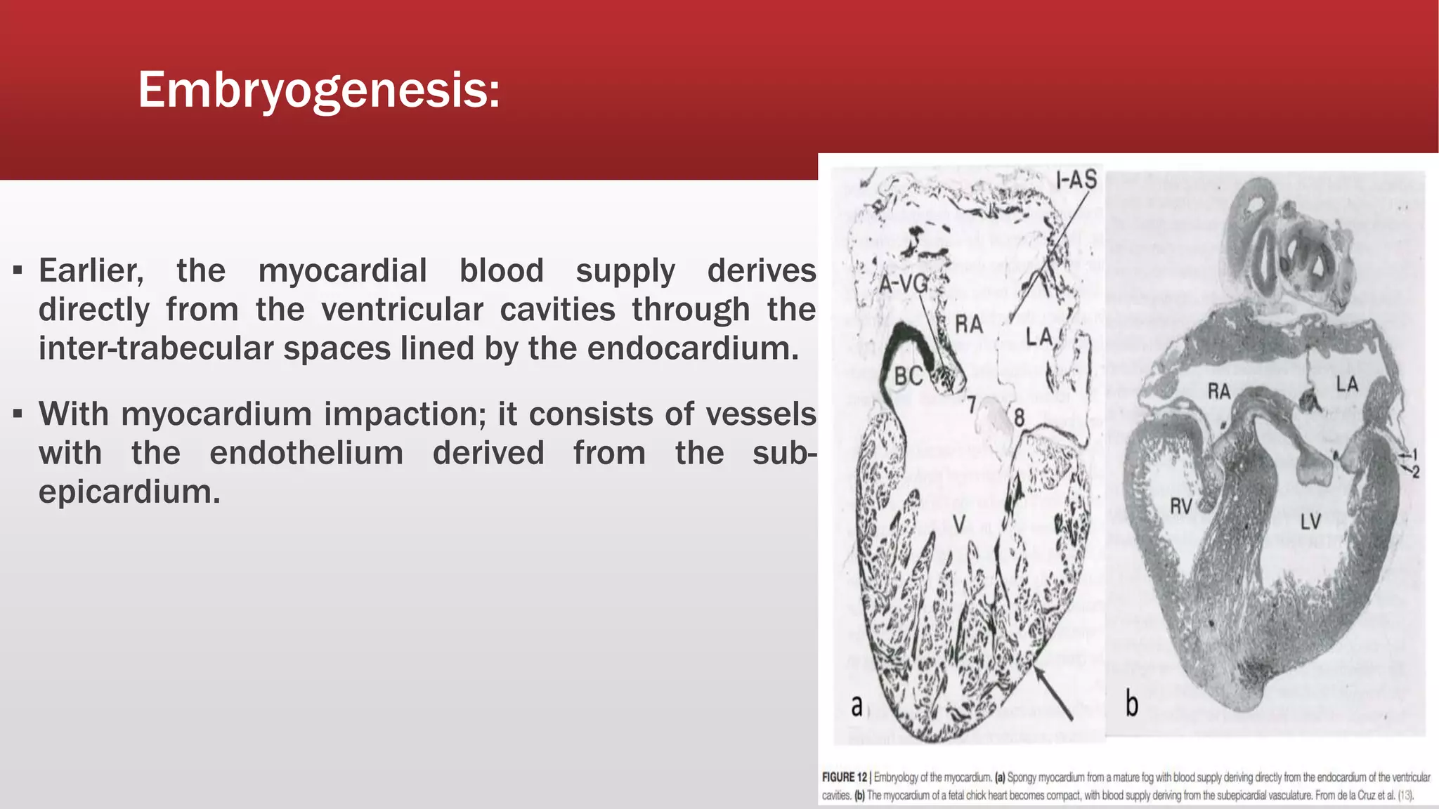 Coronary artery.pptx
