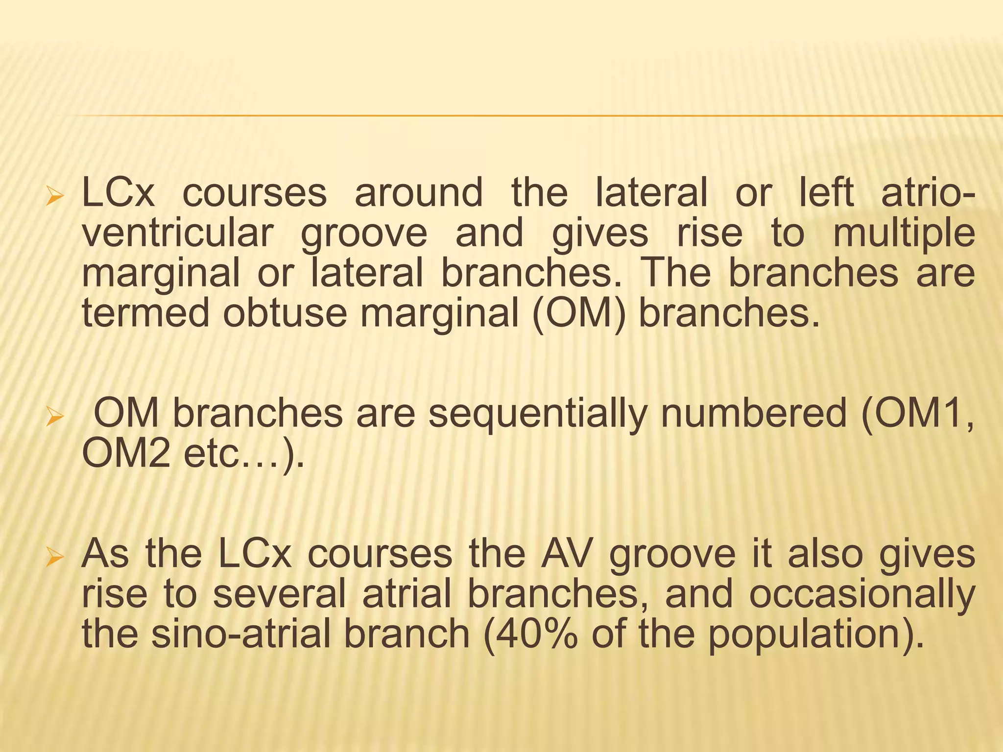 Coronary anatomy | PPTX
