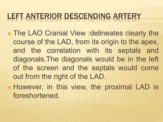 Coronary anatomy | PPT