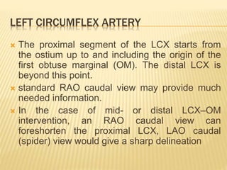 Coronary anatomy | PPT
