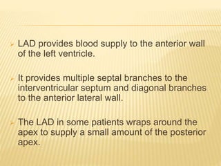 Coronary anatomy | PPT