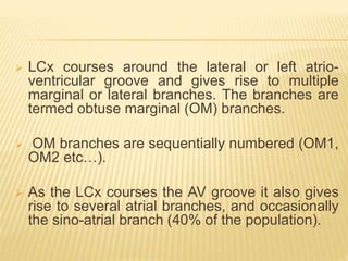 Coronary anatomy | PPT