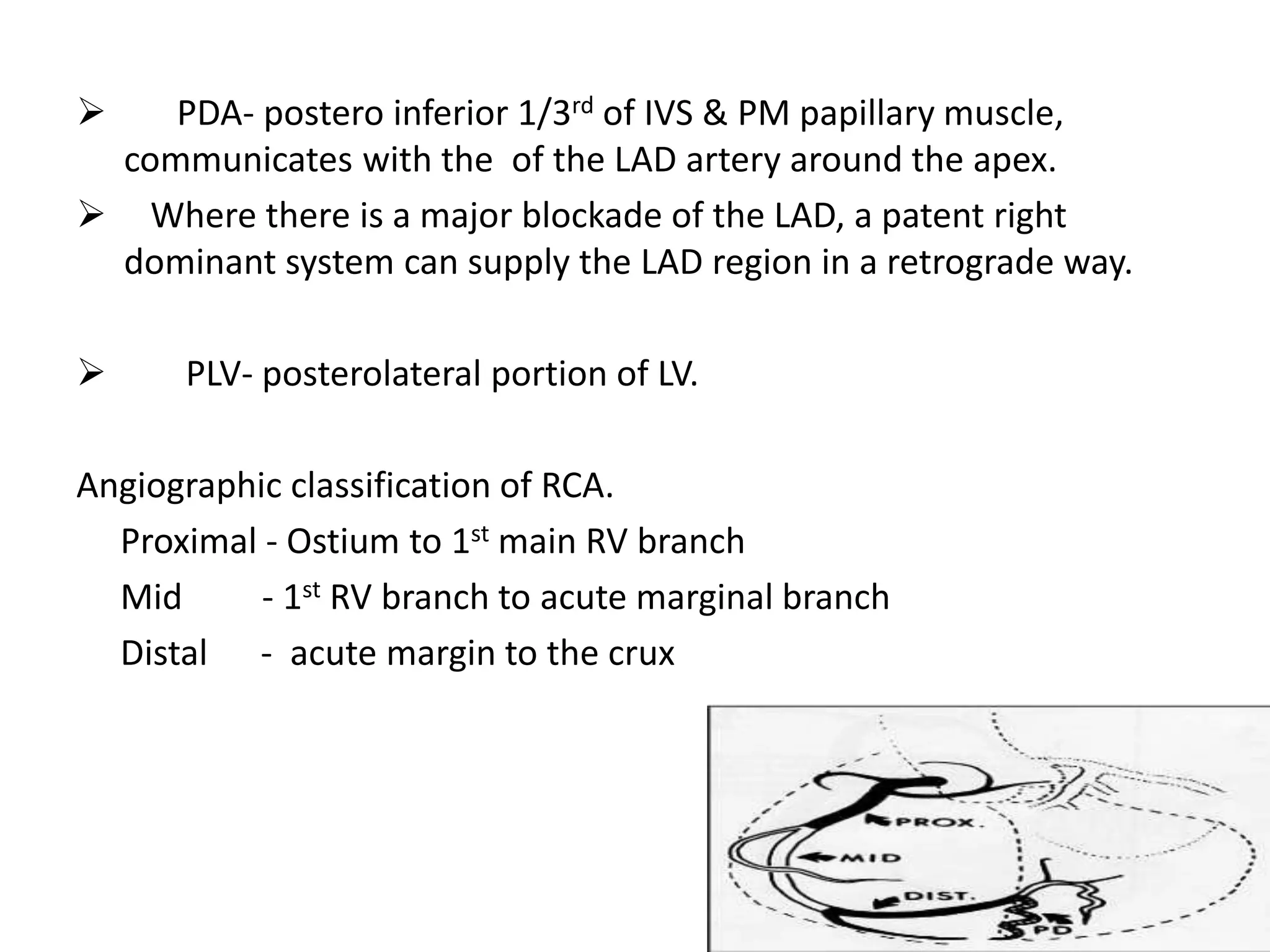 Coronary anatomy and angiographic views | PPTX