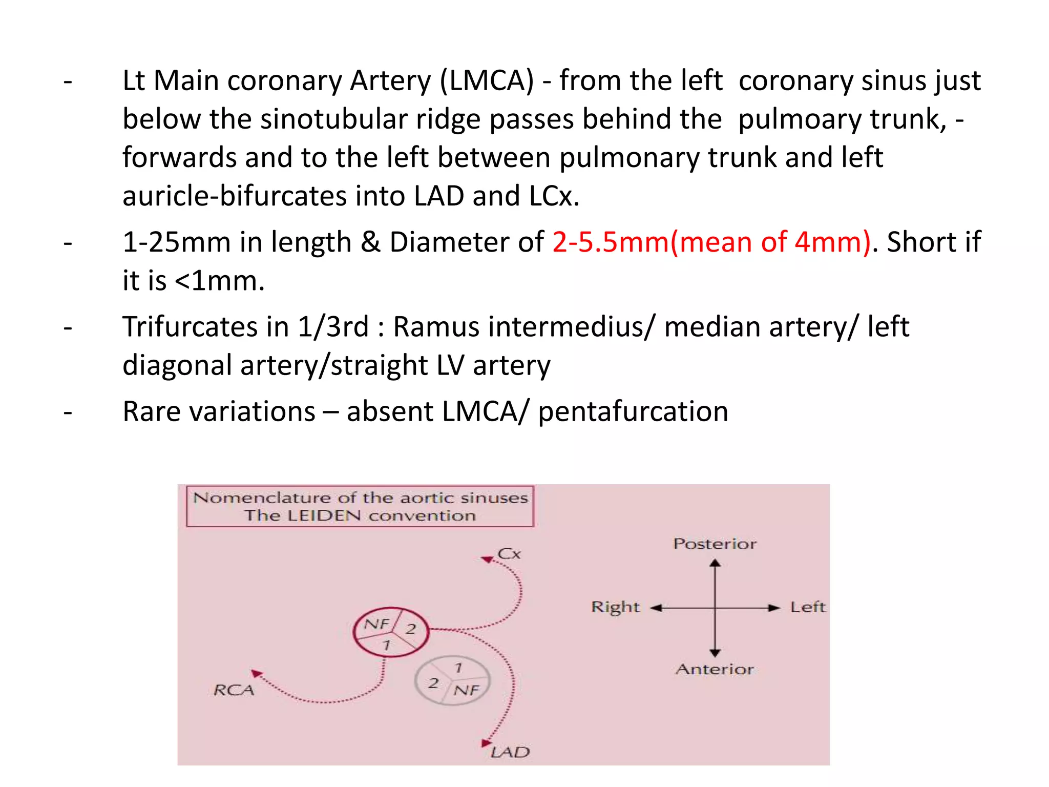 Coronary anatomy and angiographic views | PPTX