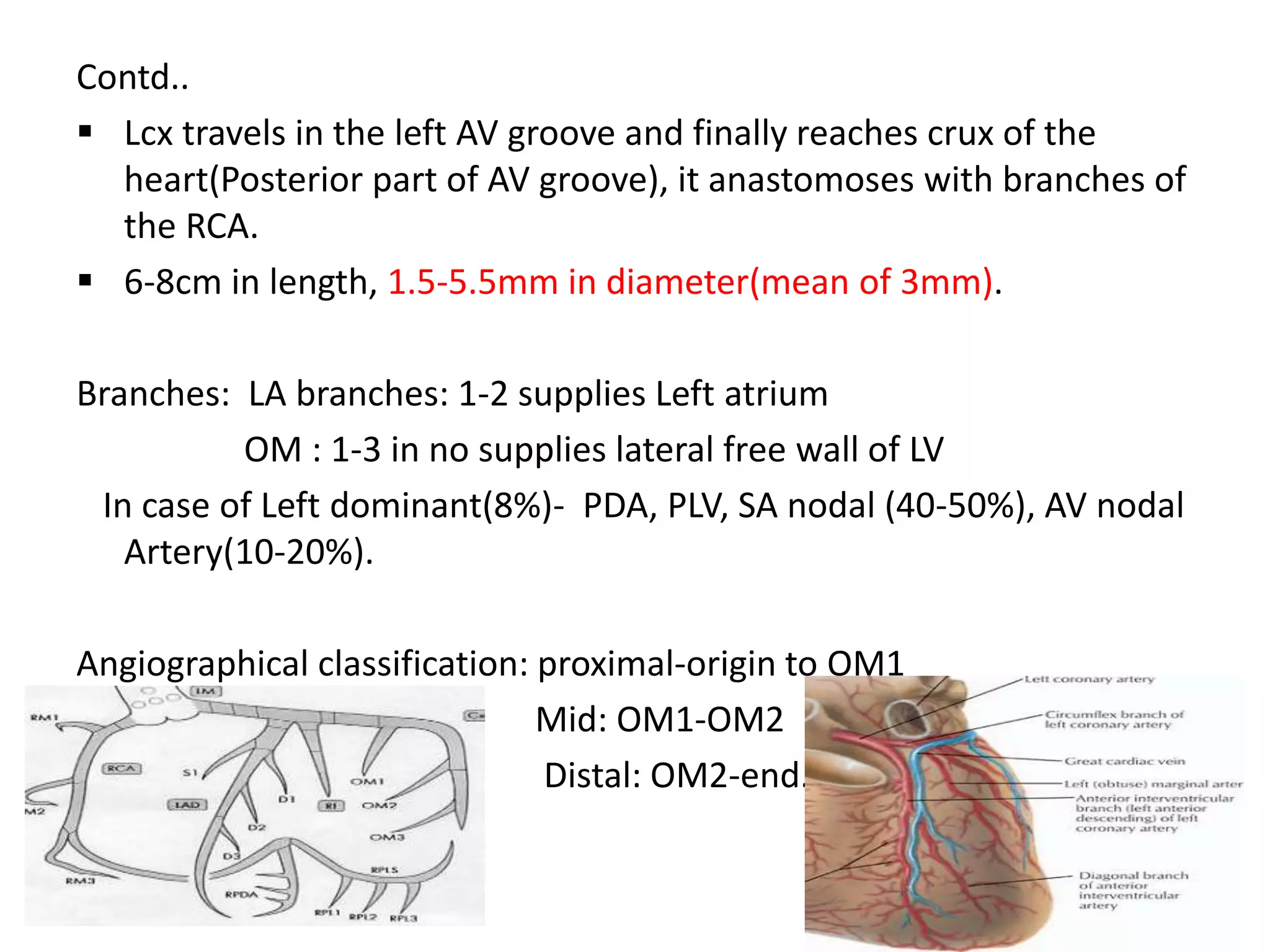 Coronary anatomy and angiographic views | PPTX