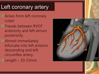 Coronary anatomy and anomalies | PPT