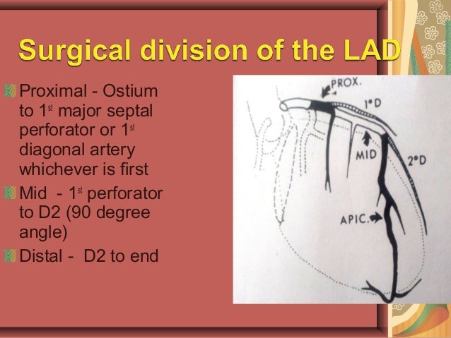 Coronary anatomy and anomalies