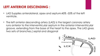 CORONARY ANATOMY AND BLOOD FLOW cardiology.pptx