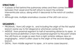 CORONARY ANATOMY AND BLOOD FLOW cardiology.pptx