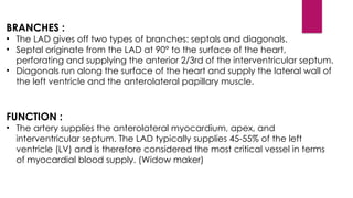 CORONARY ANATOMY AND BLOOD FLOW cardiology.pptx