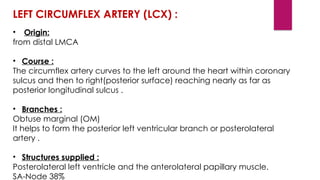 CORONARY ANATOMY AND BLOOD FLOW cardiology.pptx