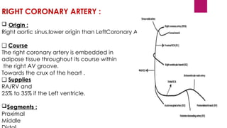 CORONARY ANATOMY AND BLOOD FLOW cardiology.pptx