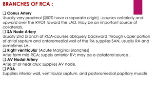CORONARY ANATOMY AND BLOOD FLOW cardiology.pptx