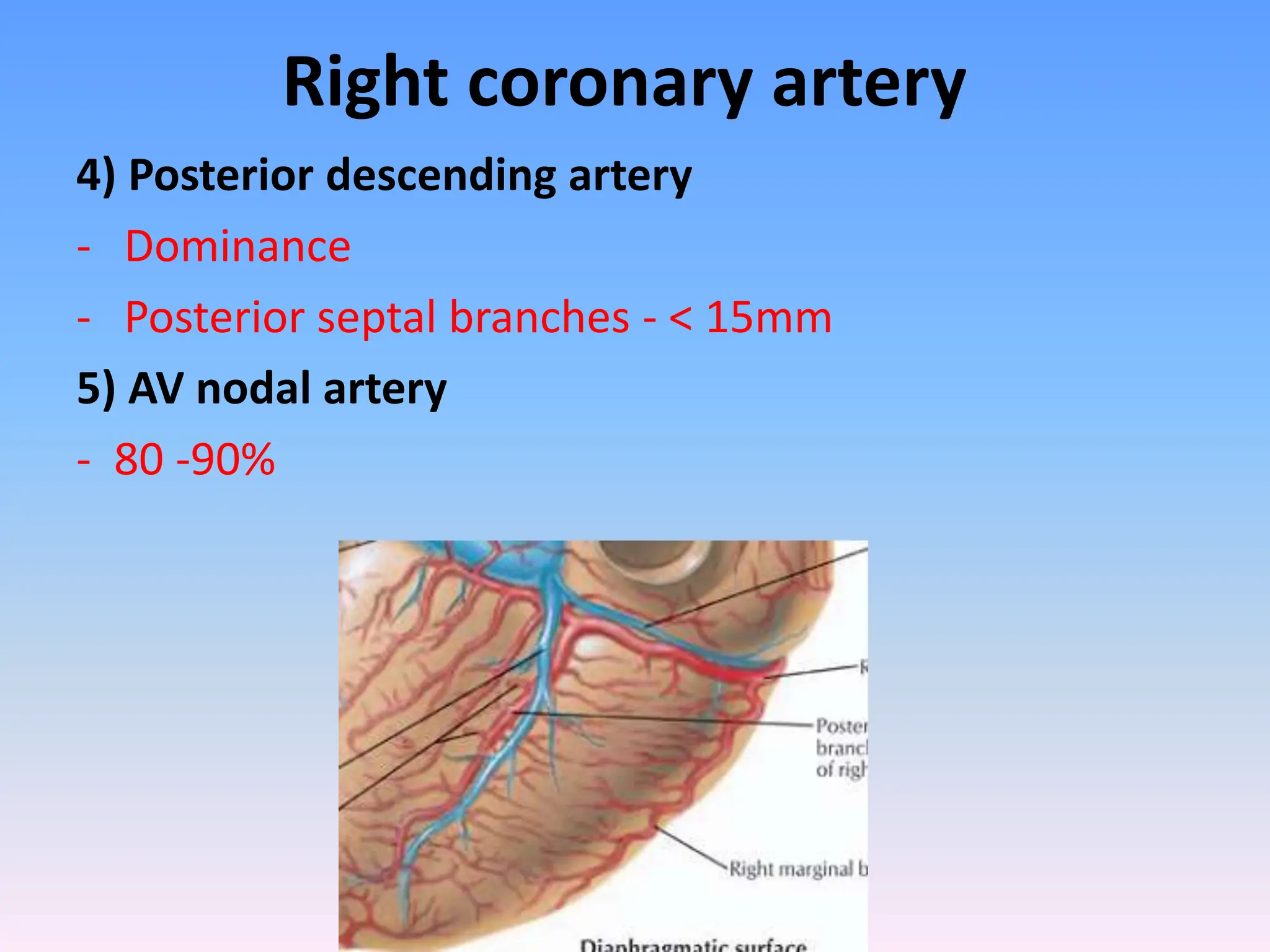 CORONARY ANATOMY _ SANDEEP M CAG VIEWS.ppsx