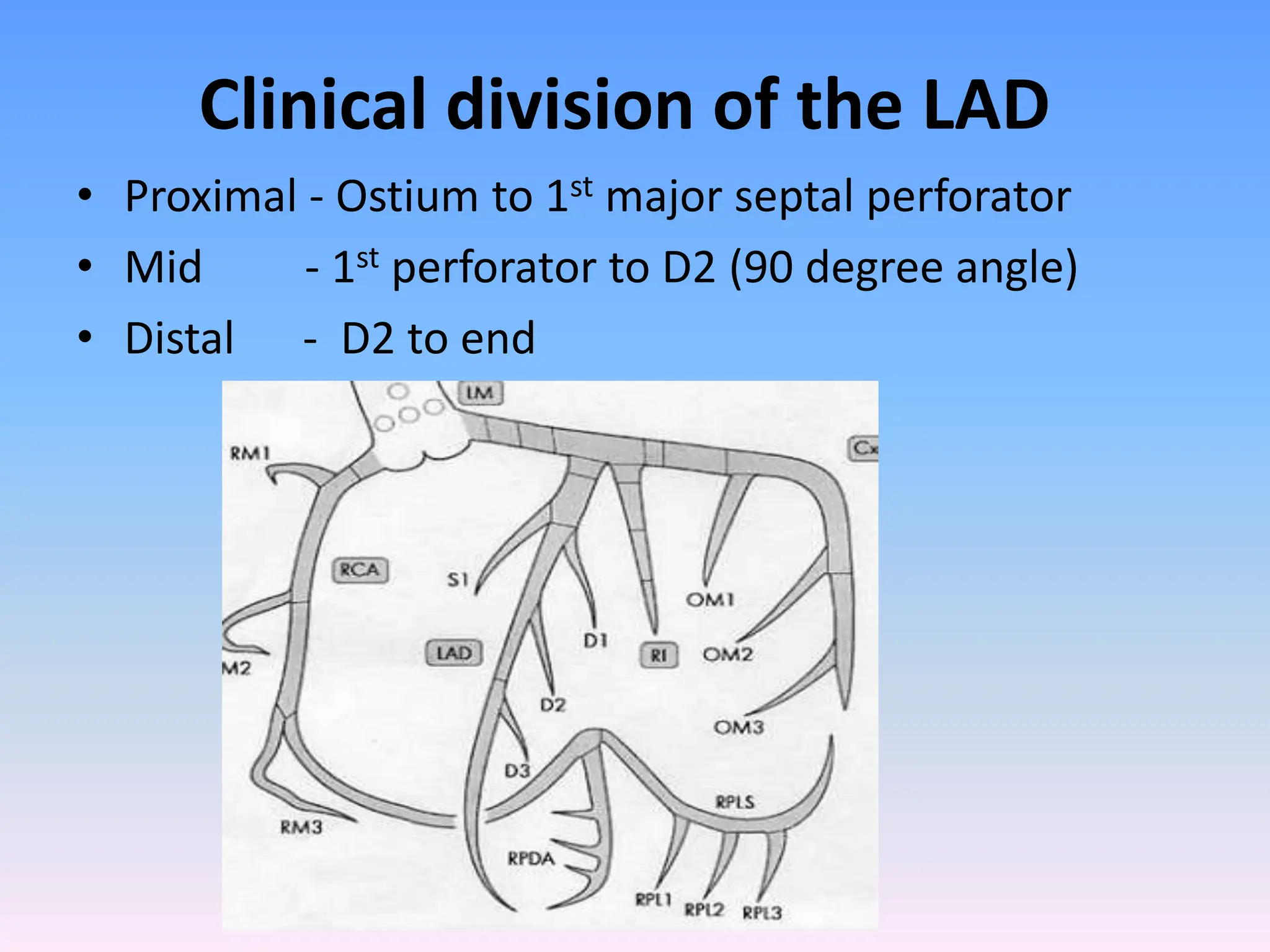 CORONARY ANATOMY _ SANDEEP M CAG VIEWS.ppsx