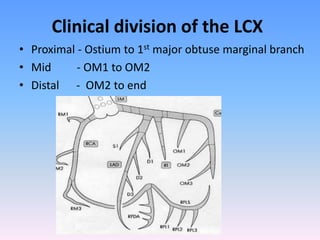 CORONARY ANATOMY _ SANDEEP M CAG VIEWS.ppsx