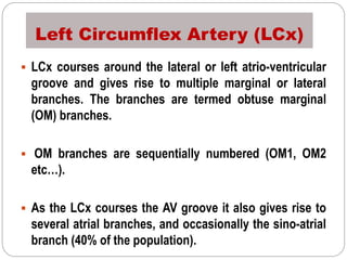 Coronary angiogram | PPTX