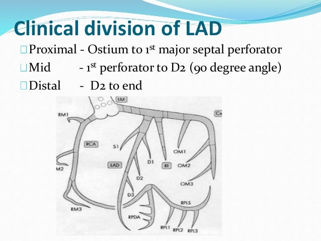 Coronary angiograpgy basic n special views