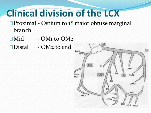 Coronary angiograpgy basic n special views
