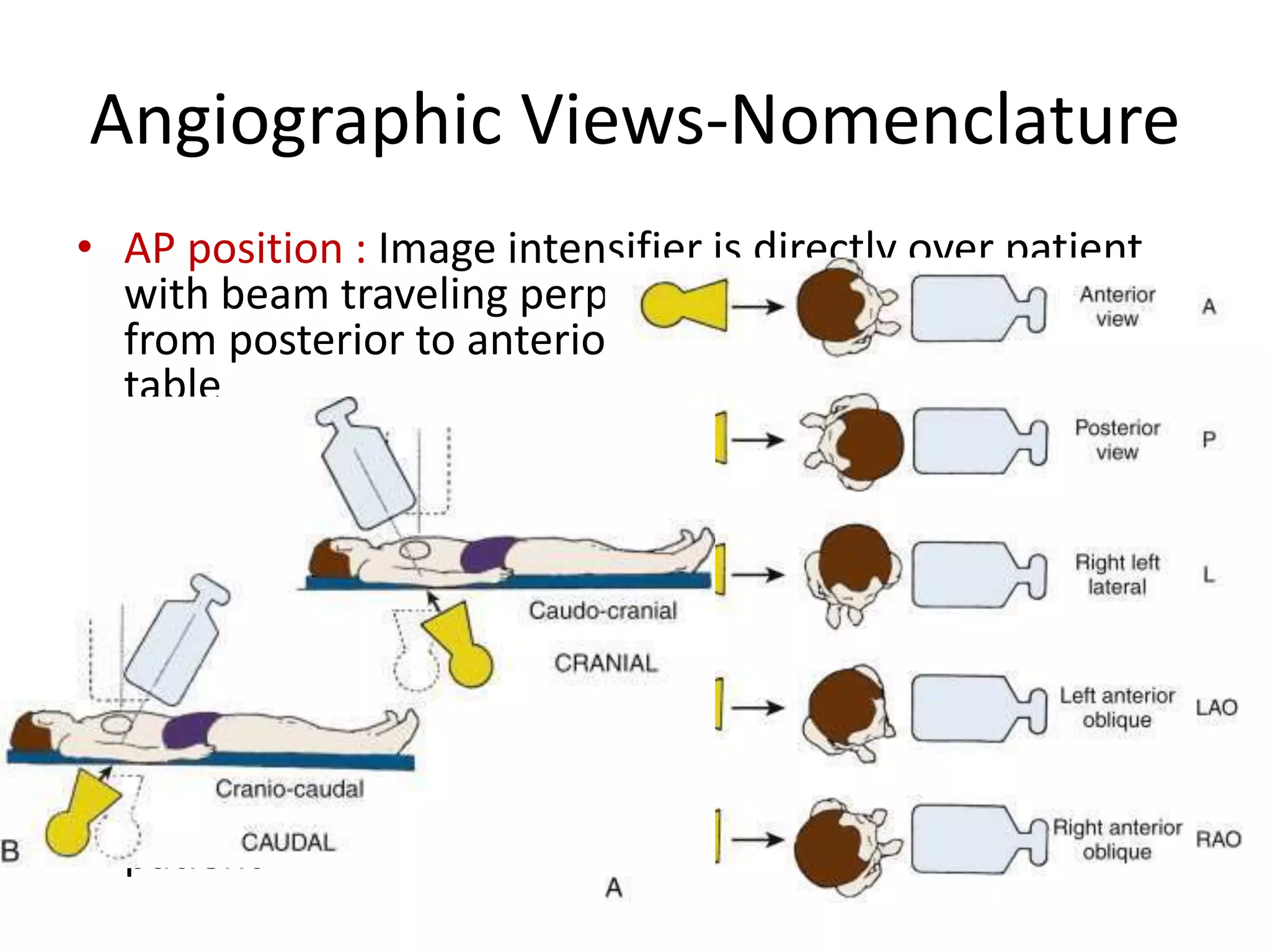CORONARY ANGIOGRAPHY.pptx