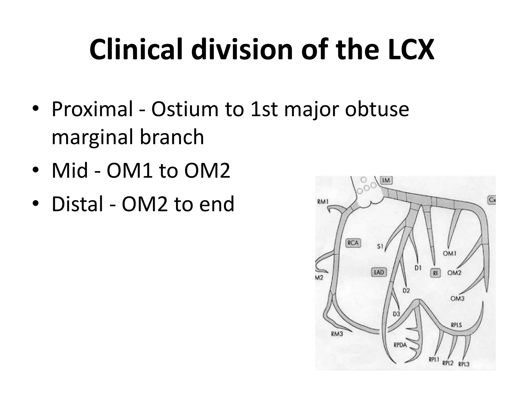 CORONARY ANGIOGRAPHY.pptx