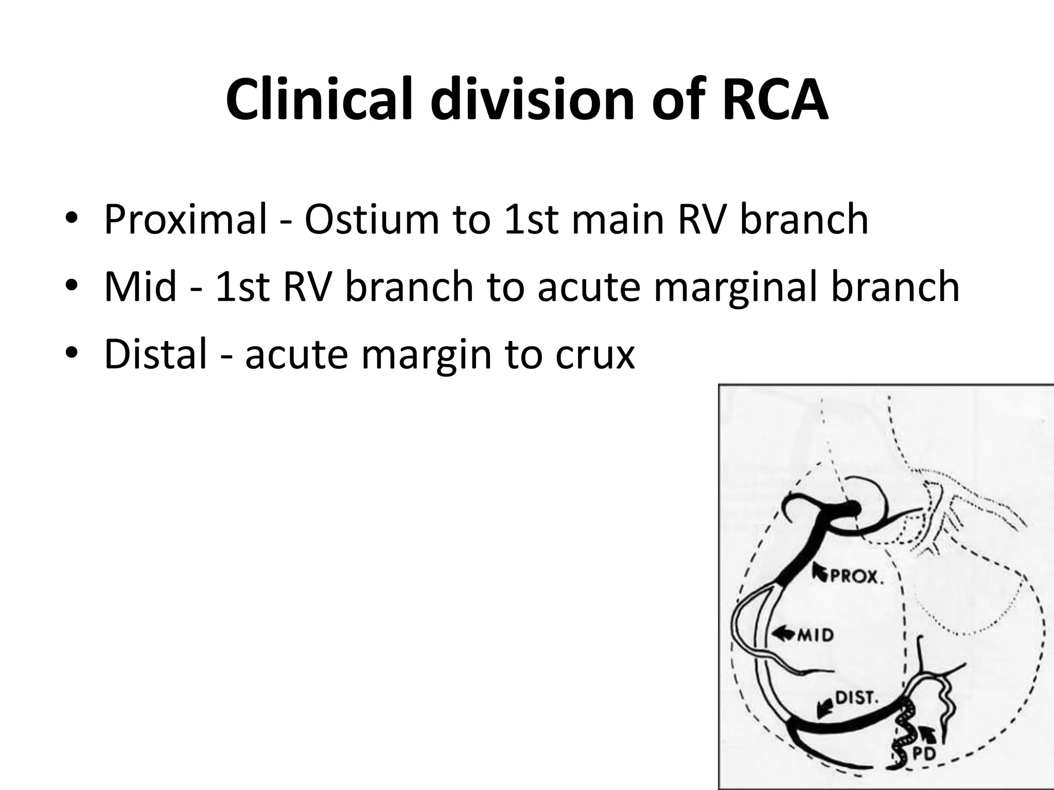 coronaryangiography-220330142539 (1).pdf