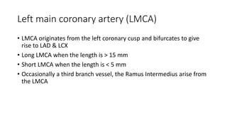 Basics of Coronary Angiography Hewad Gulzai.pptx