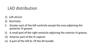 Basics of Coronary Angiography Hewad Gulzai.pptx