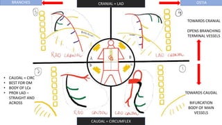 CORONARY ANGIOGRAPHY INTERPRET.pptx
