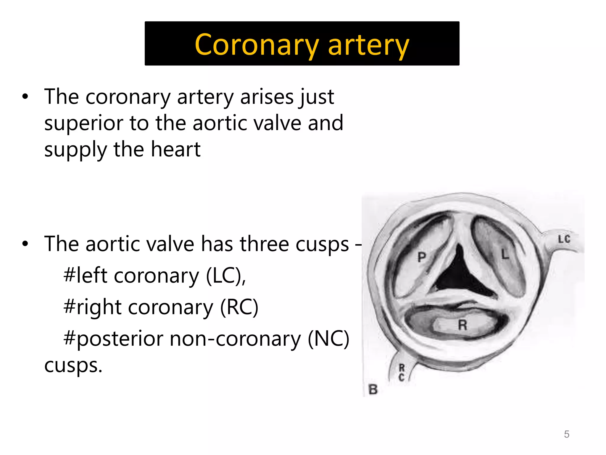 Coronary angiography | PPTX