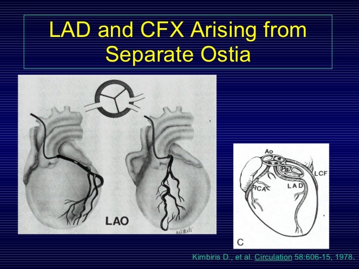 Coronary anomalies 11-18-04
