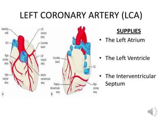Coronary arteries | PPTX