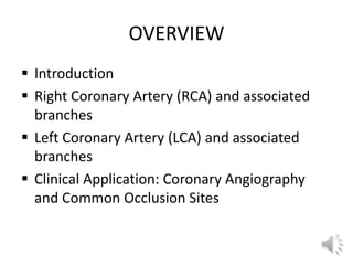 Coronary arteries | PPTX