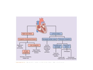 Coronary arteries Diseases pathophysiology.pptx