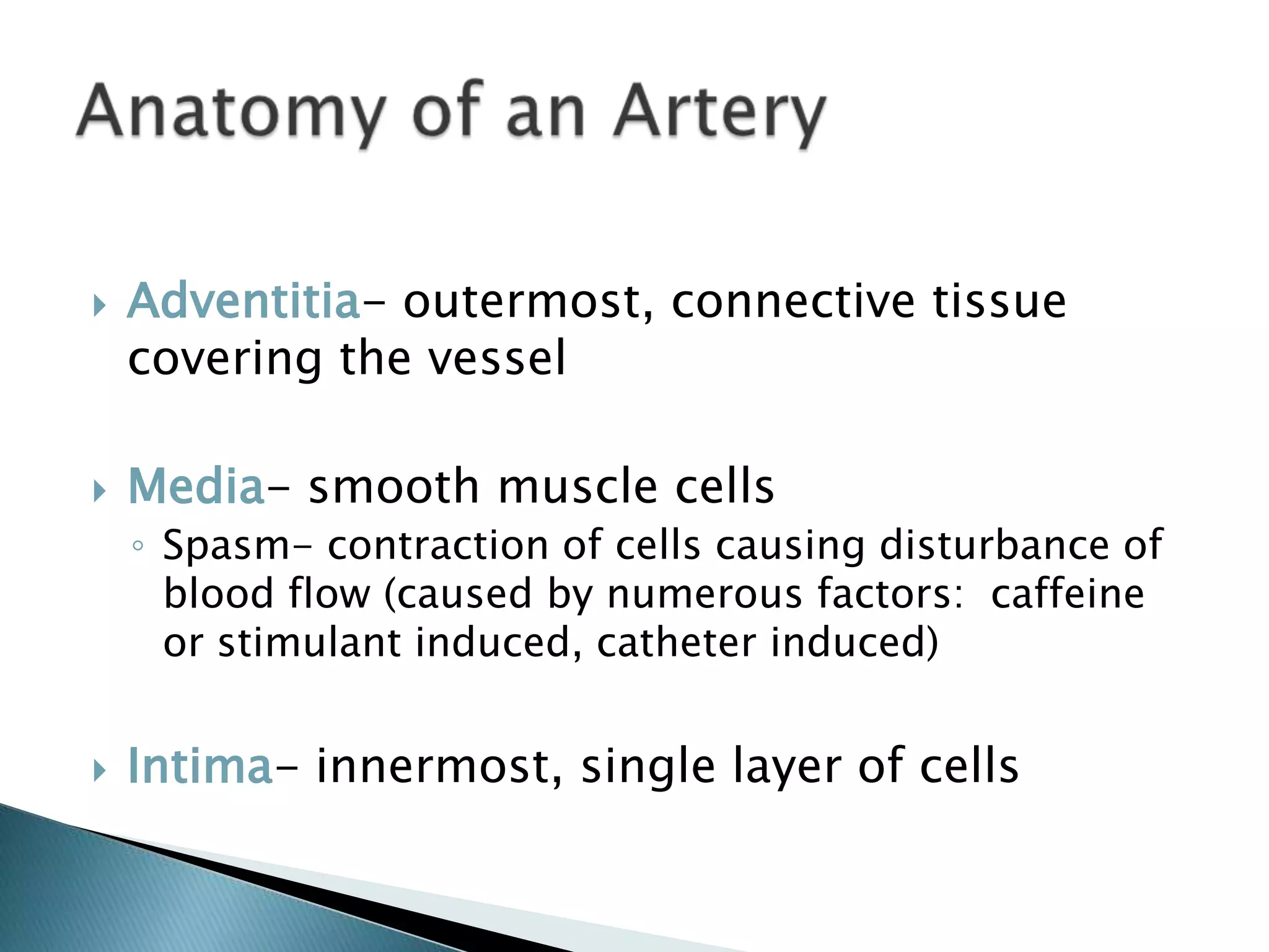Coronary Arteries | PPTX