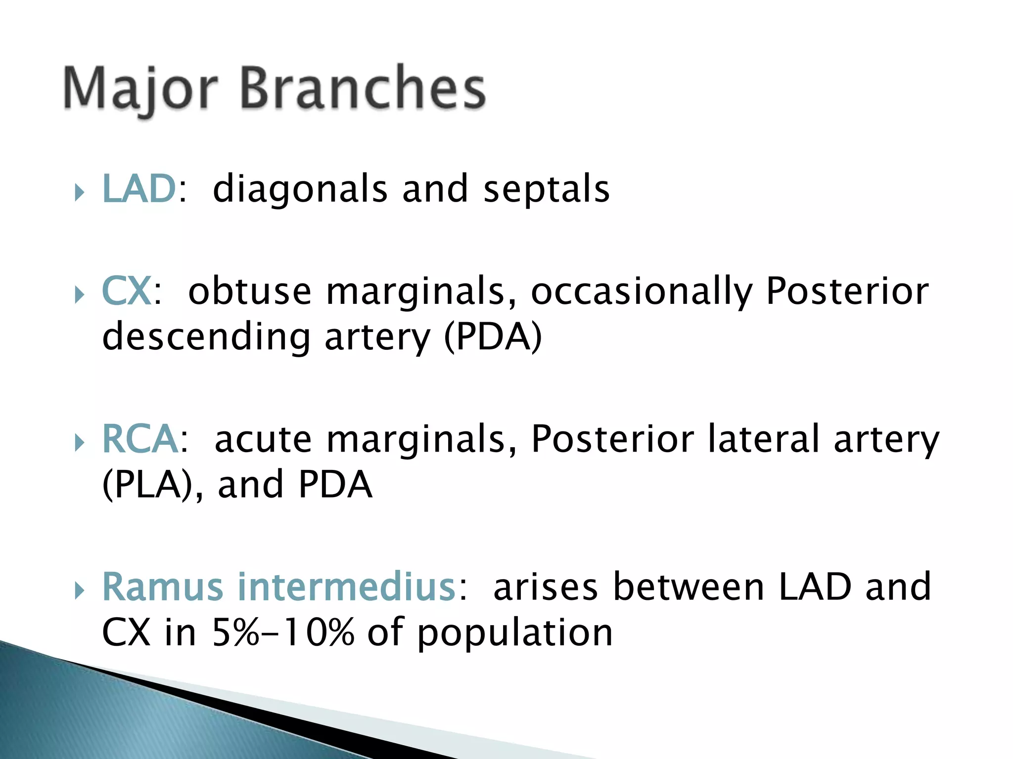 Coronary Arteries | PPTX