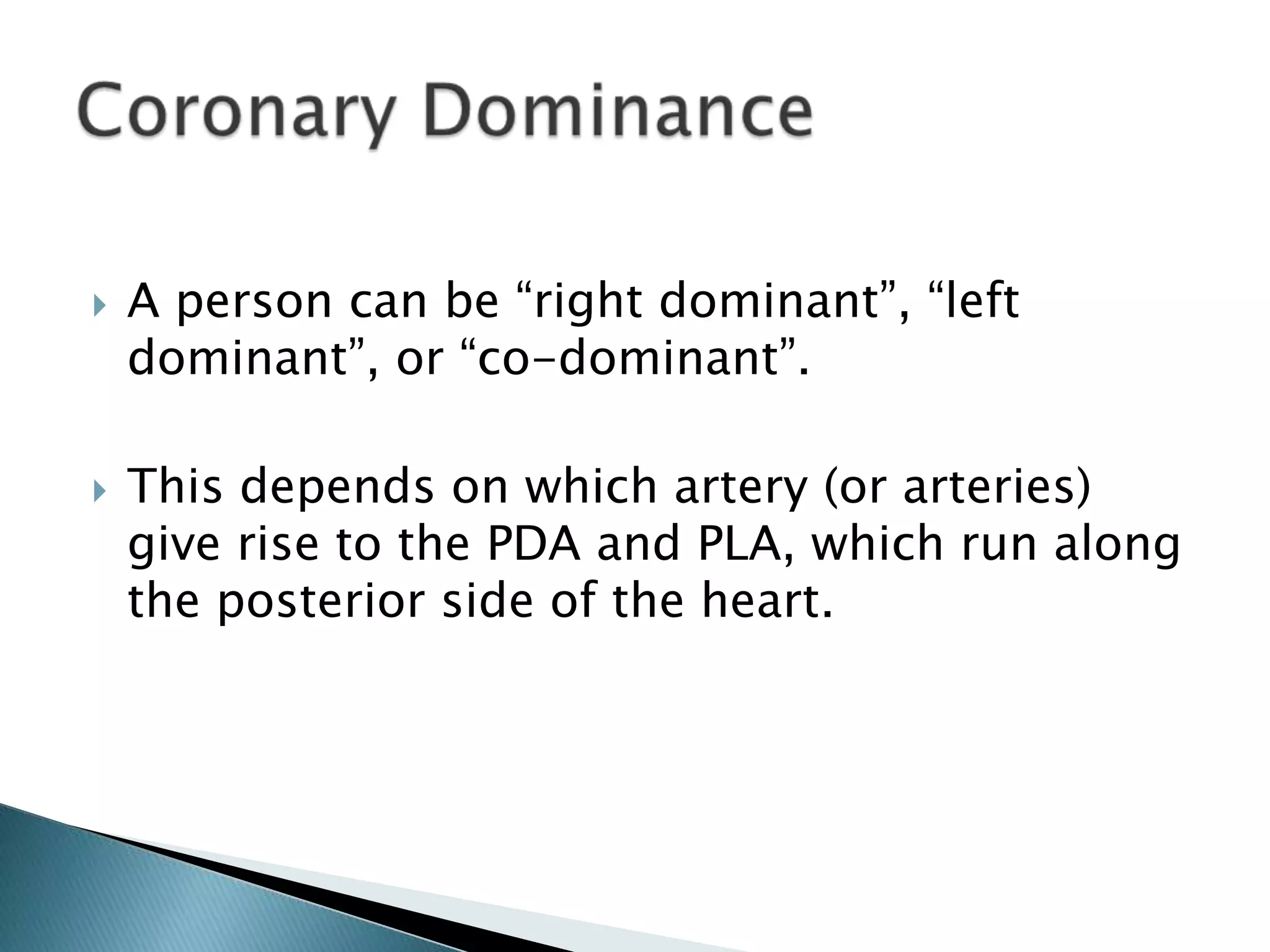Coronary Arteries | PPTX